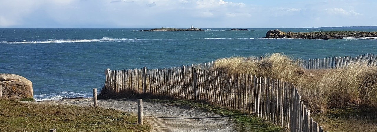 Formations et Stages à la Technique de Libération Emotionnelle (EFT)